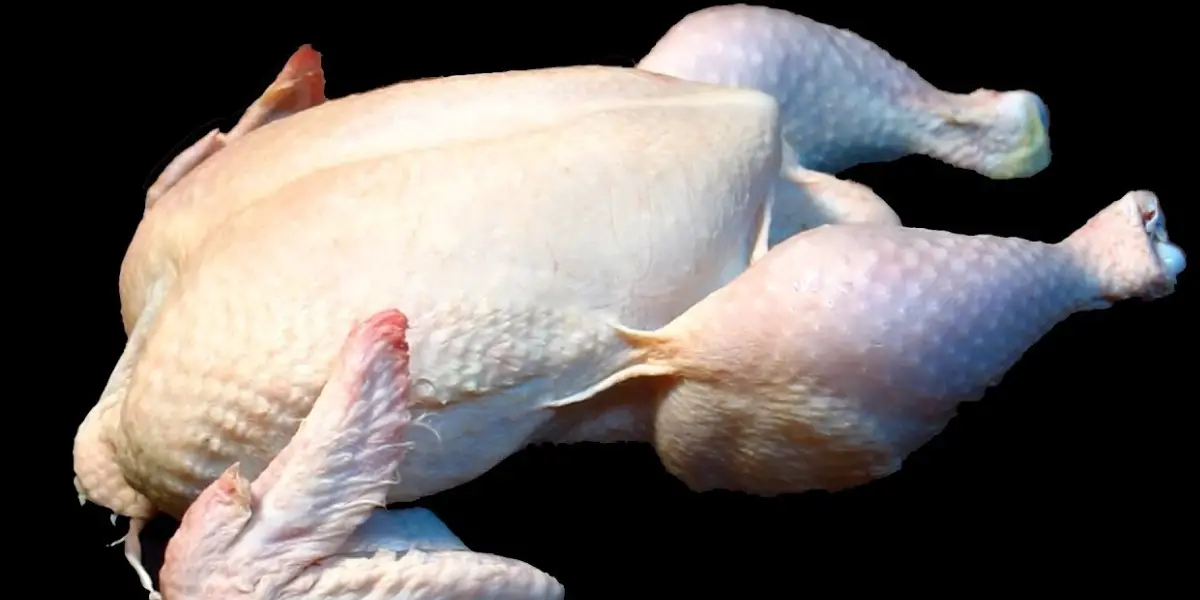 Aprende cómo cortar el pollo – consejos para cortarlo fácilmente en ...