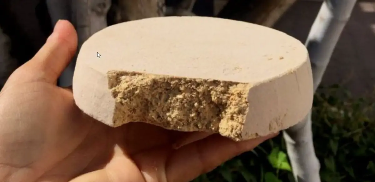 Patay | Raza Folklorica!