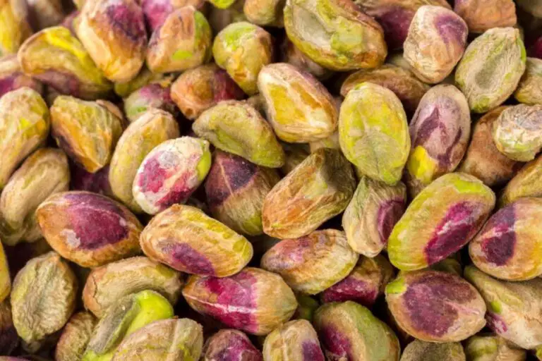 Cómo sembrar y cultivar pistachos ¡Mira como cuidarla!