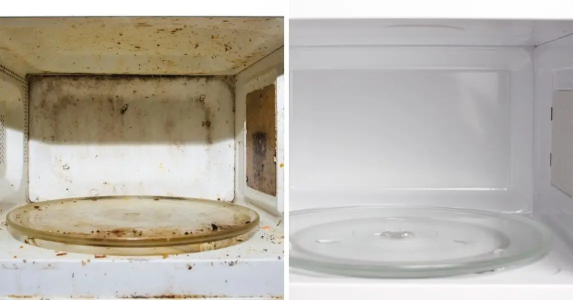 Cómo limpiar microondas por dentro y por fuera | Raza Folklorica!