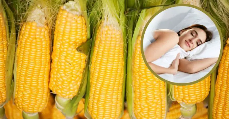 ¿Qué significa soñar con choclos? 6 formas de interpretar tu sueño