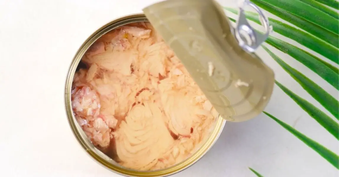 ¿Se Puede Guardar el Atún Una Vez Abierto?