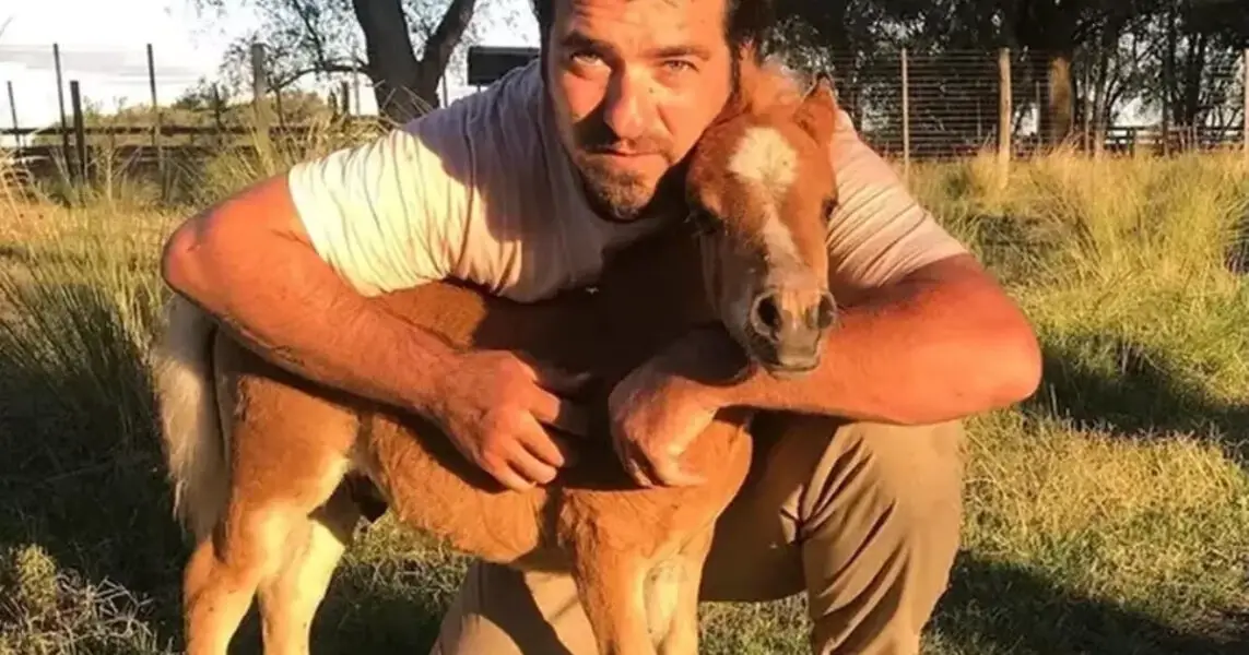 Los caballos miniatura son criados en Olavarría, lograron dos récords ...