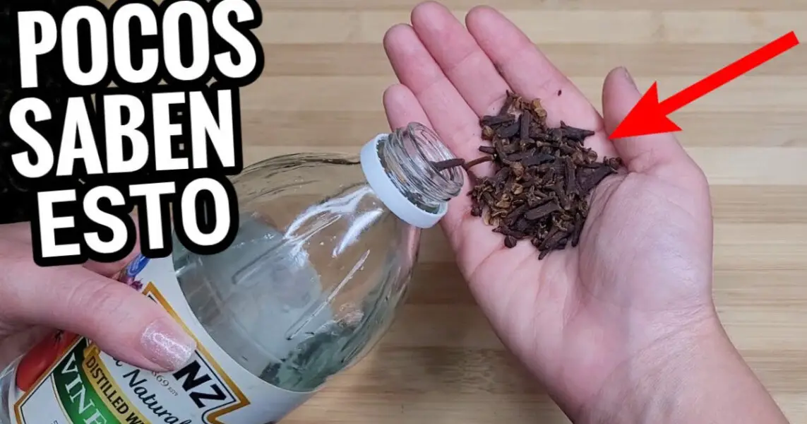 Colocar clavos de olor en una botella soluciona un gran problema del hogar