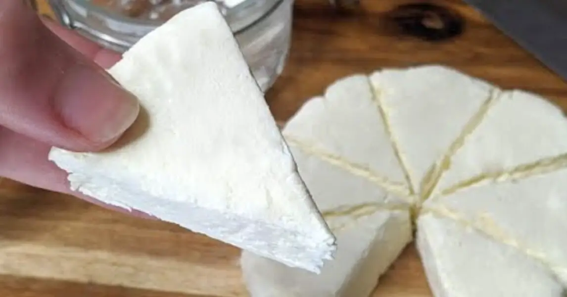 La mejor receta de queso casero ¡rápida y fácil! | Raza Folklorica!