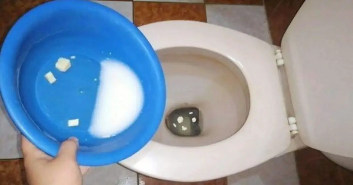 Pouring salt down the toilet for 3 hours: This is the little-known but ...