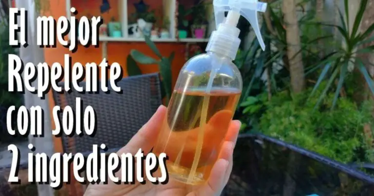 Este repelente casero de mosquitos si que funciona ¡hazlo así! | Raza Folklorica!