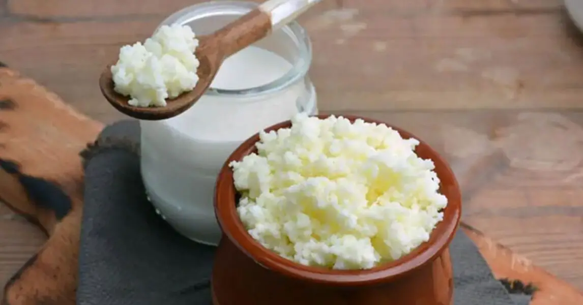 Kéfir: qué es y cómo prepararlo en casa | Raza Folklorica!