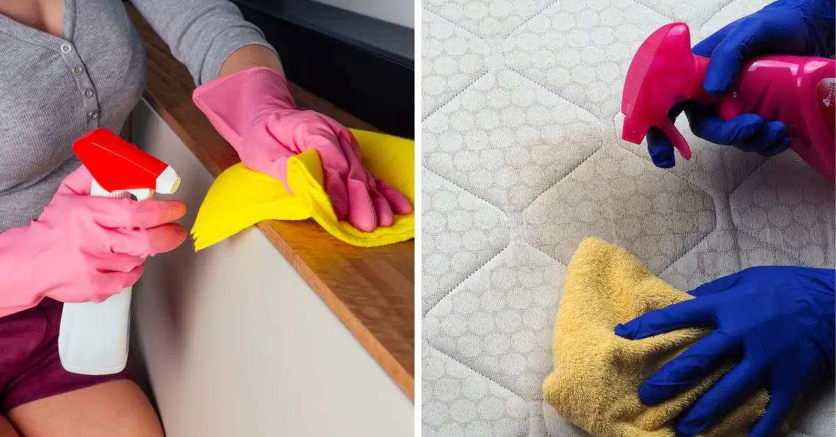 Esto eliminará toda la mugre y suciedad de tus colchones y muebles ...
